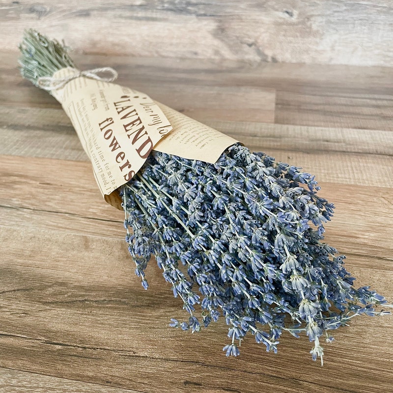 Lavender Sprigs - Etsy