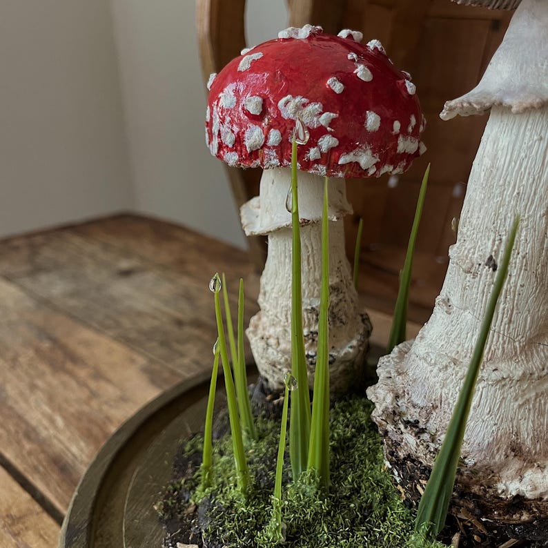 Red Amanita Muscaria Mushroom Bell Jar Scientific Model, Natural ...