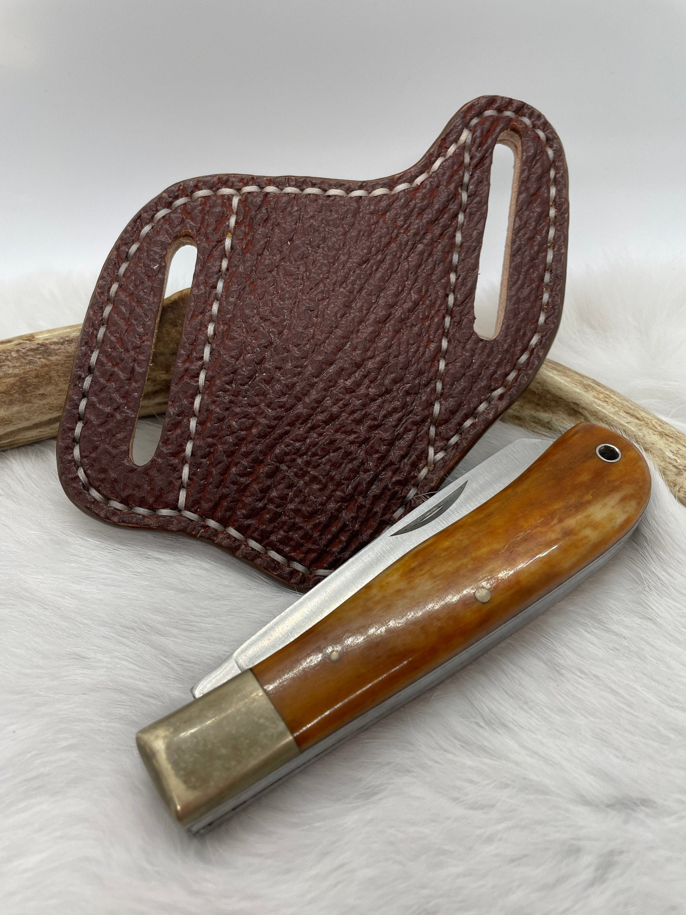 Shark Knife Sheath, Brown Trapper Knife Sheath, Exotic Shark Pancake ...
