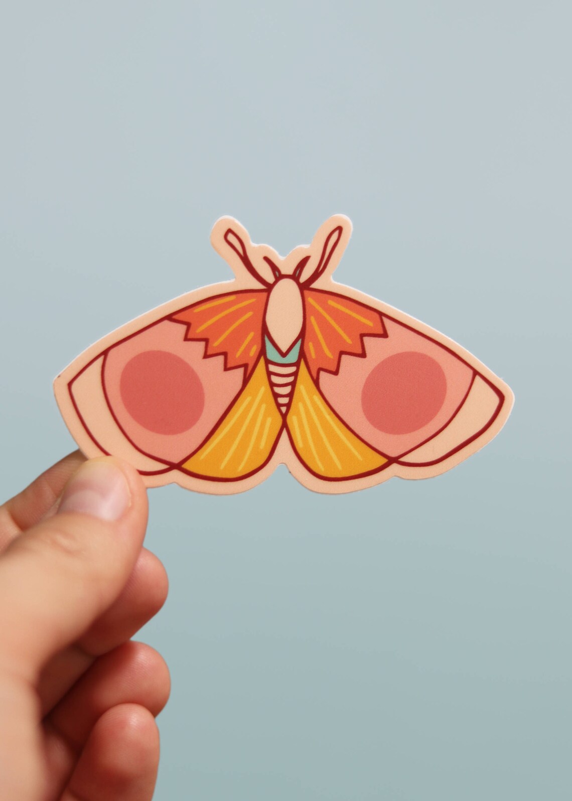 Moth Vinyl Sticker Pack, 3 Stickers - Etsy