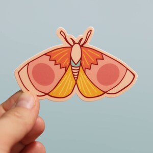 Moth Vinyl Sticker Pack, 3 Stickers - Etsy
