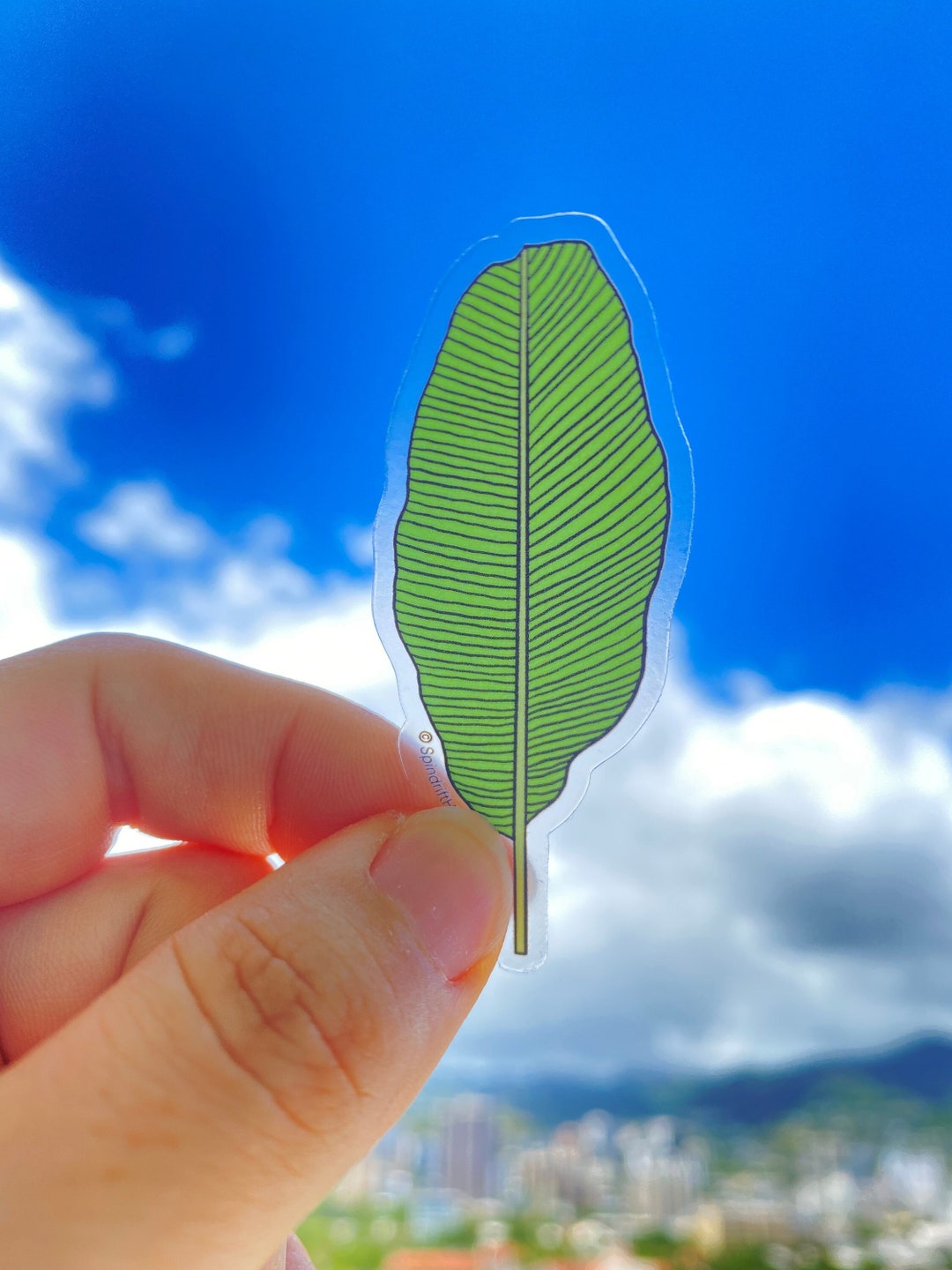 Green Banana Leaf Clear 2” Vinyl Die Cut Sticker - Etsy