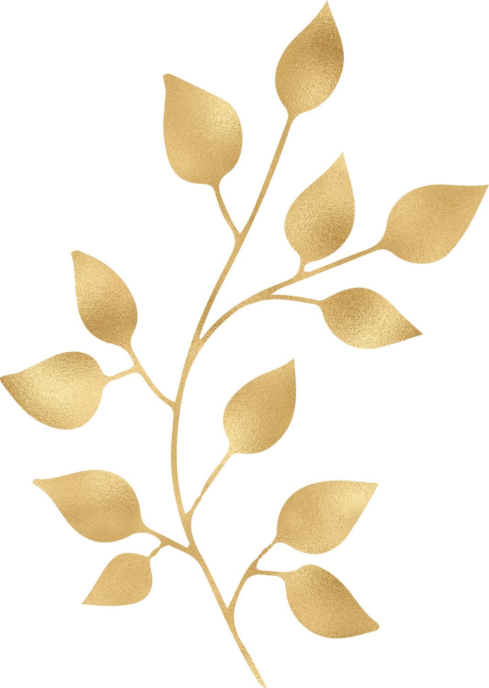 Design Material, Flower Pattern , 37pcs PNG File, Electronically Files ...