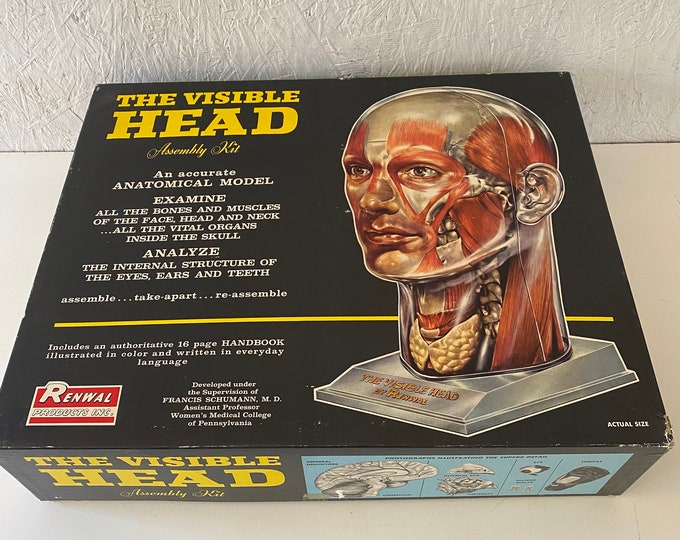 Vintage NIB 1961 the Visible Head Model Life Size by Renwal - Etsy