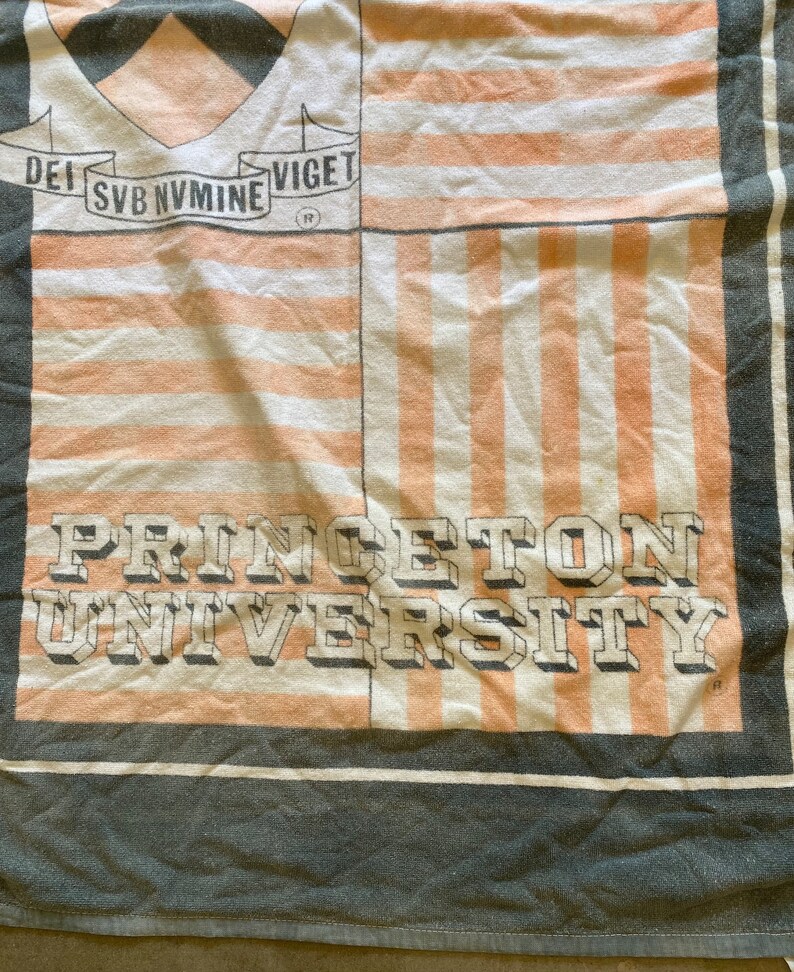 Vintage Princeton University Beach Towel Tiger Ivy League A La Carte ...