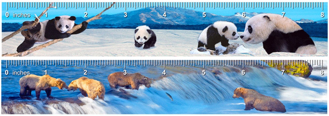 2 - 8" 3D Lenticular Rulers - Grizzly Bears Fishing and Panda Family - Etsy