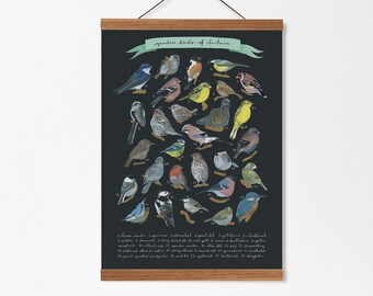 British Birds Poster - Etsy UK