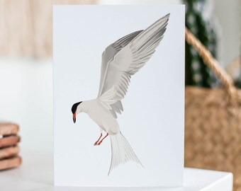 Common Tern - Etsy