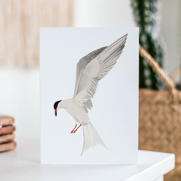 Common Tern - Etsy