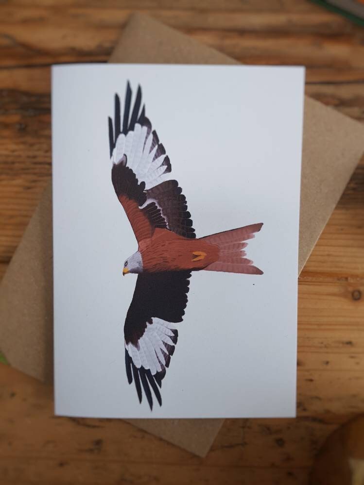 Red Kite Bird Art Eco Friendly Greeting Card Bird Card Gift - Etsy UK