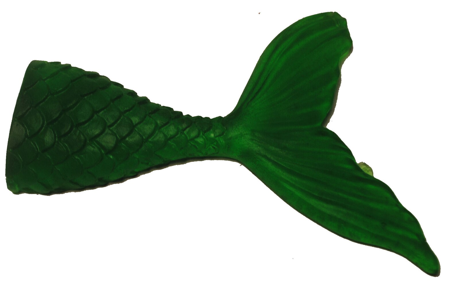 Mermaid Fish Tail Fin Beach Ocean Themed Pirate Novelty Gift | Etsy