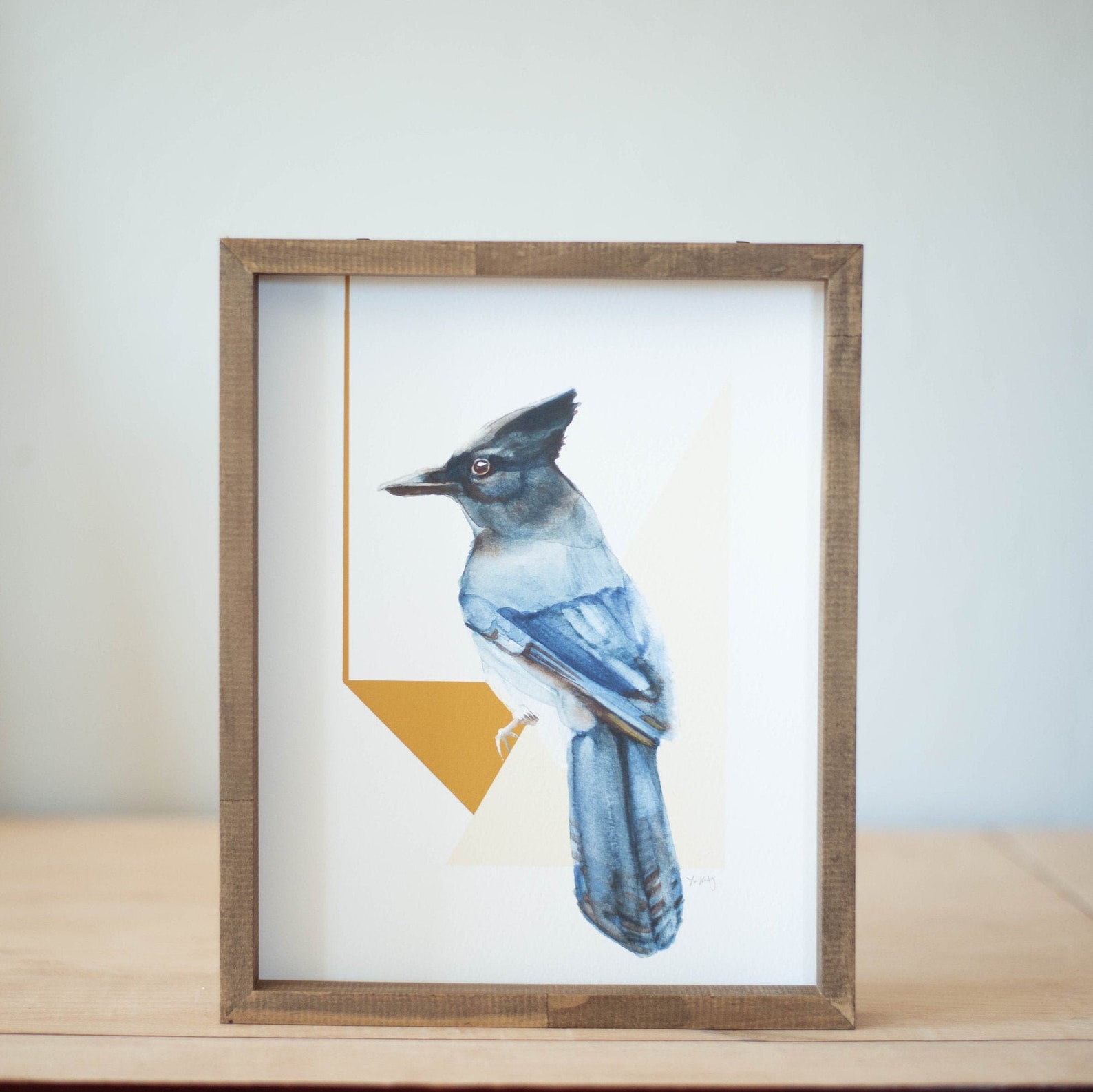 Stellars Jay Print - Etsy