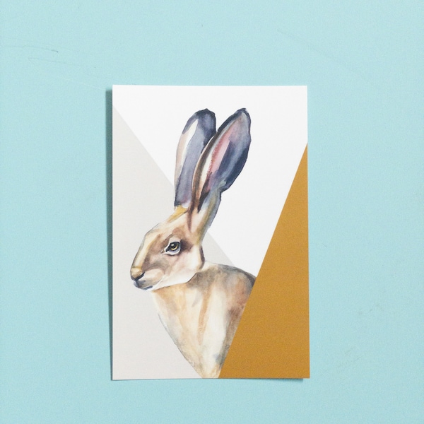 Jack Rabbit - Etsy