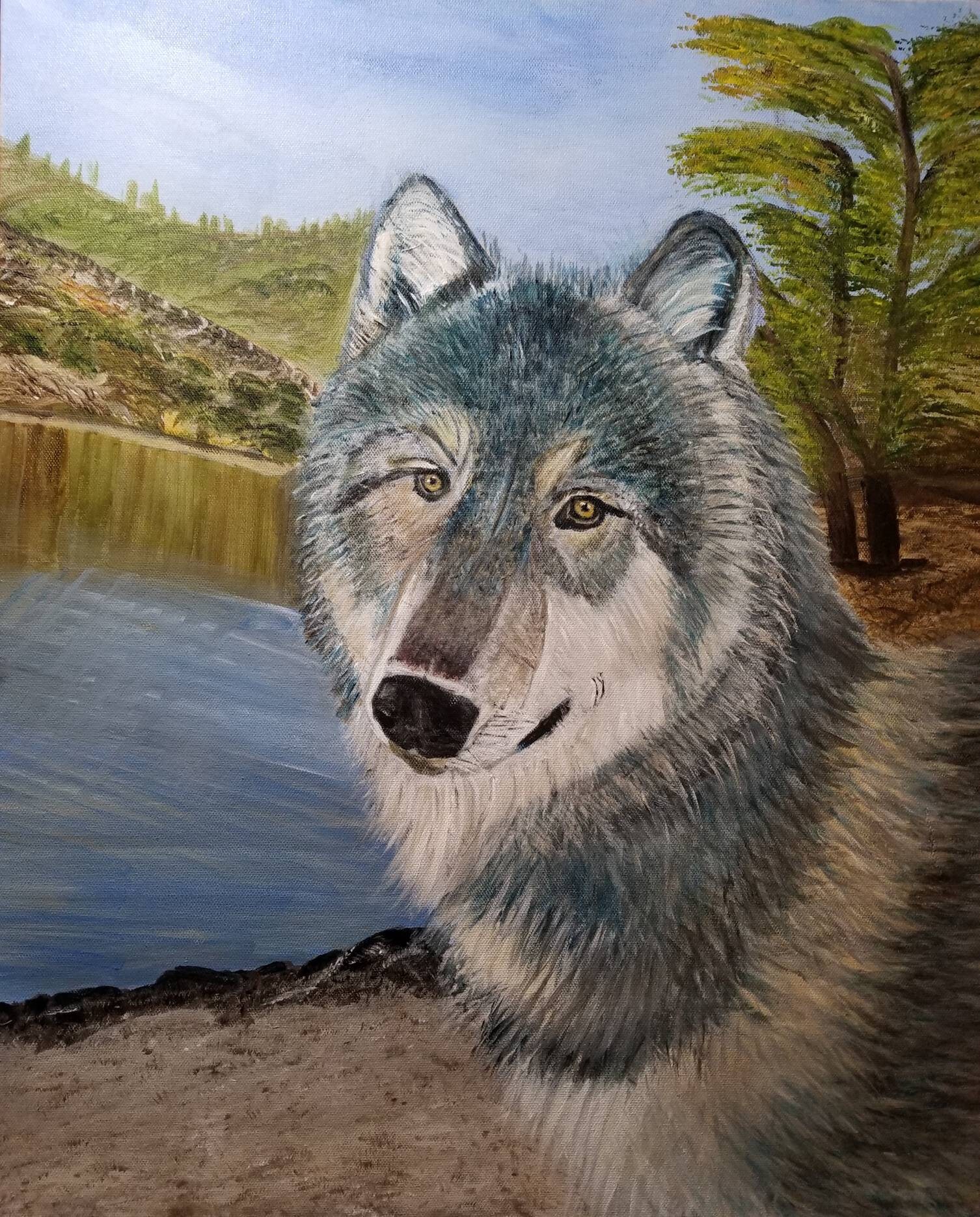 Watercolor Paintings Of A Wolf