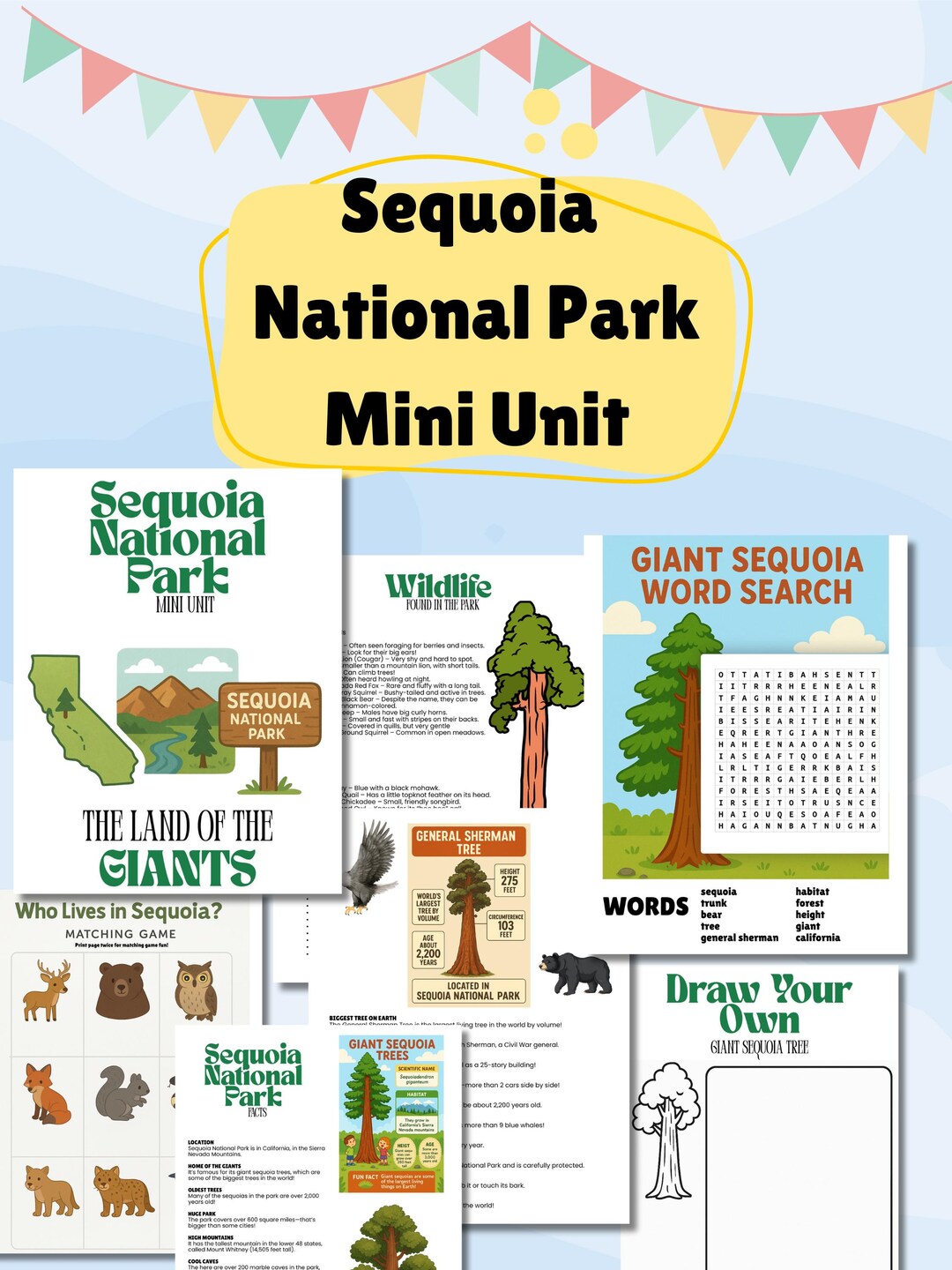 Sequoia National Park Mini Study Unit - Etsy