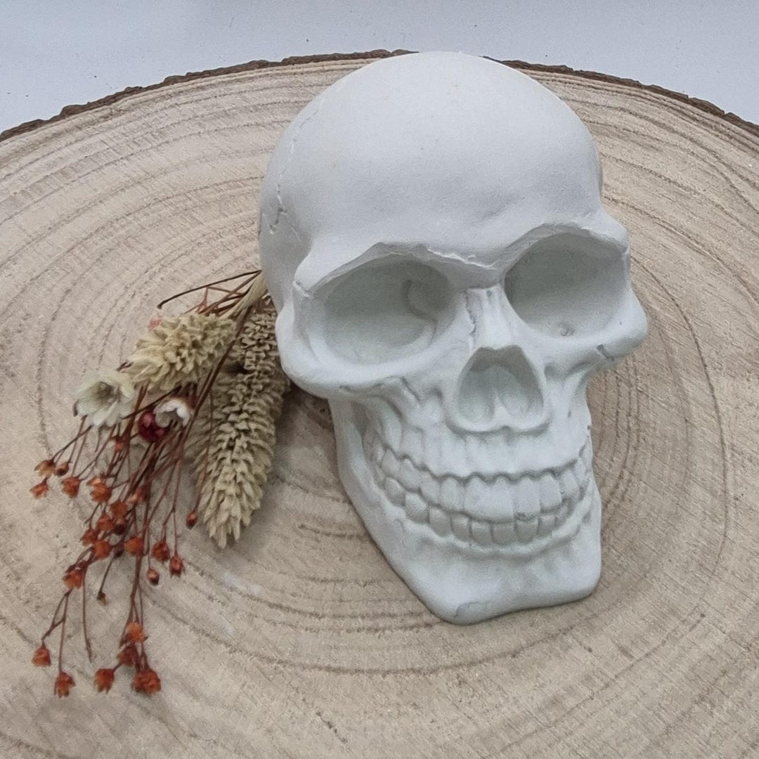 3D Casting Mold Skull / Casting Mold Skull Concrete / Concrete Casting ...