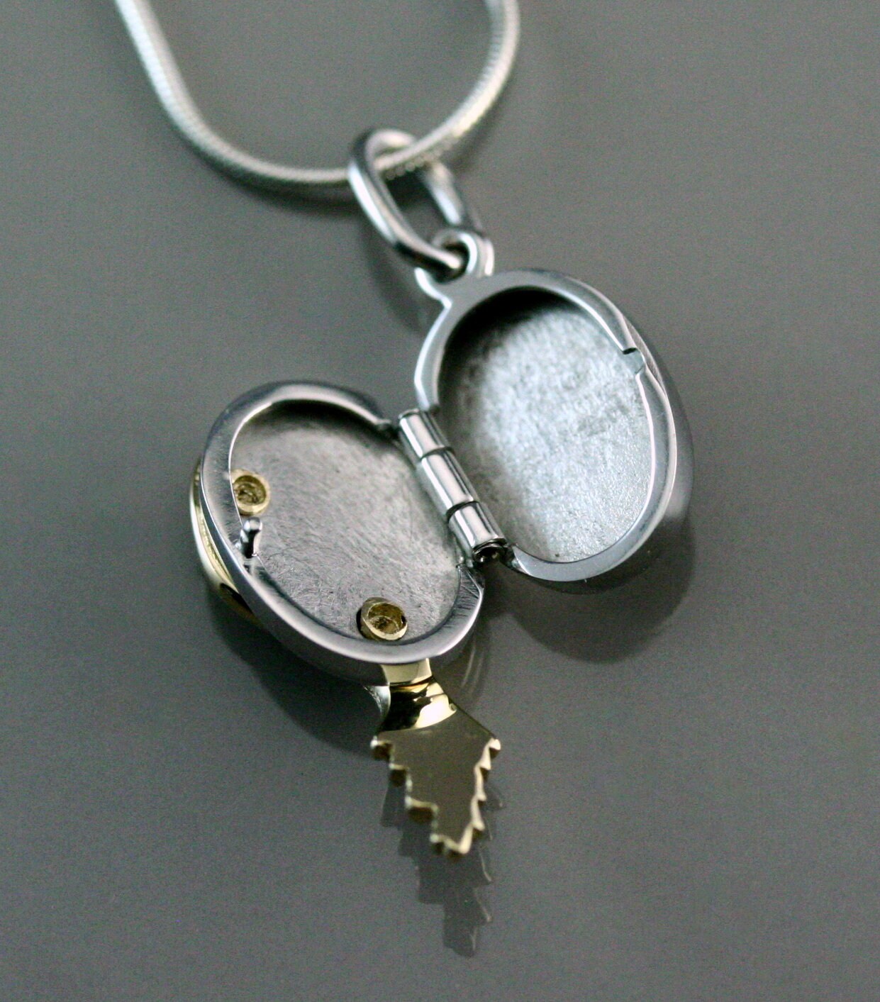 Silver Gold Phoenix Necklacephoenix Bird Locket Necklace | Etsy