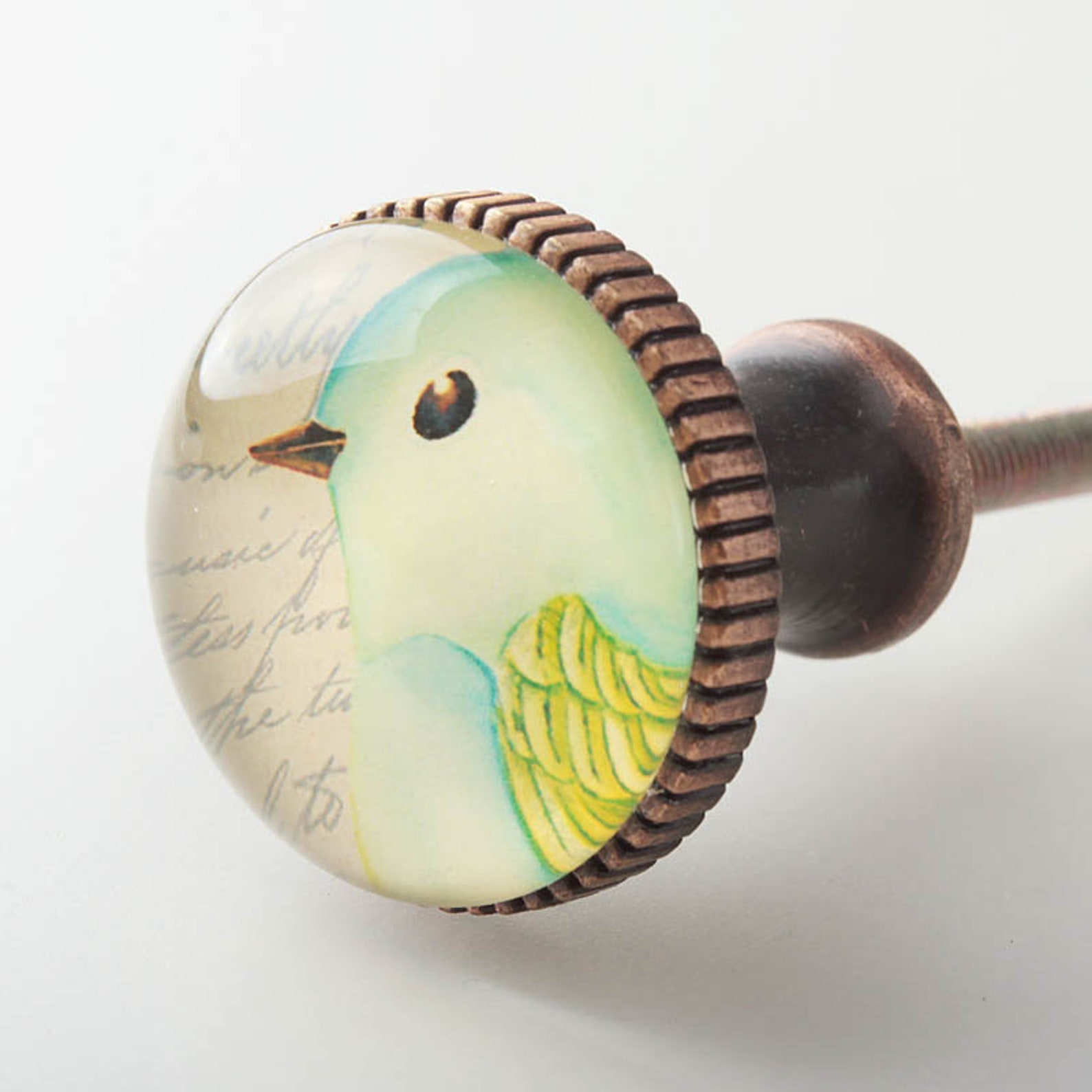 Little Bird Simple Knob Glass Knob European Pastoral Door Knob - Etsy
