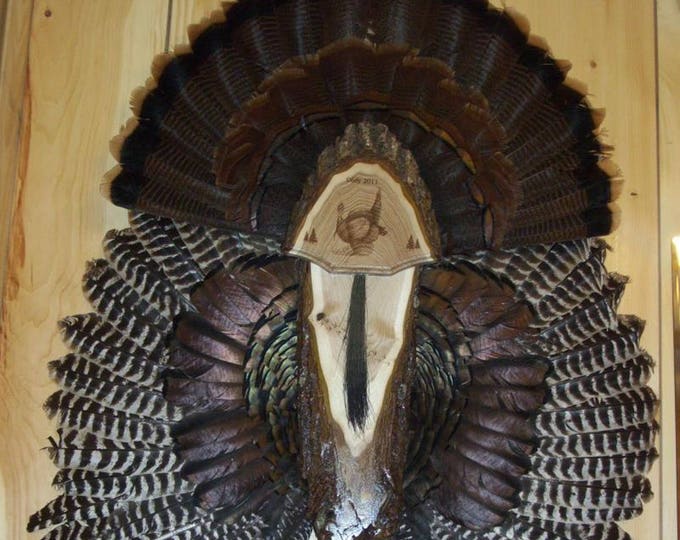 Turkey Hunting ~ Turkey Fan Mount ~ Turkey Fan Plaque ~ Turkey Hunting ...