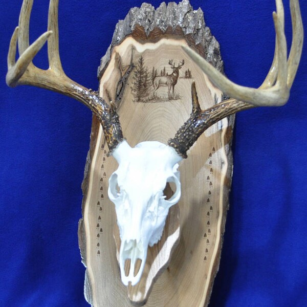 Deer Plaque Template - Etsy