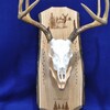 First Buck First Deer Deer Hunting Frame Custom Frame 1st Deer Childs ...