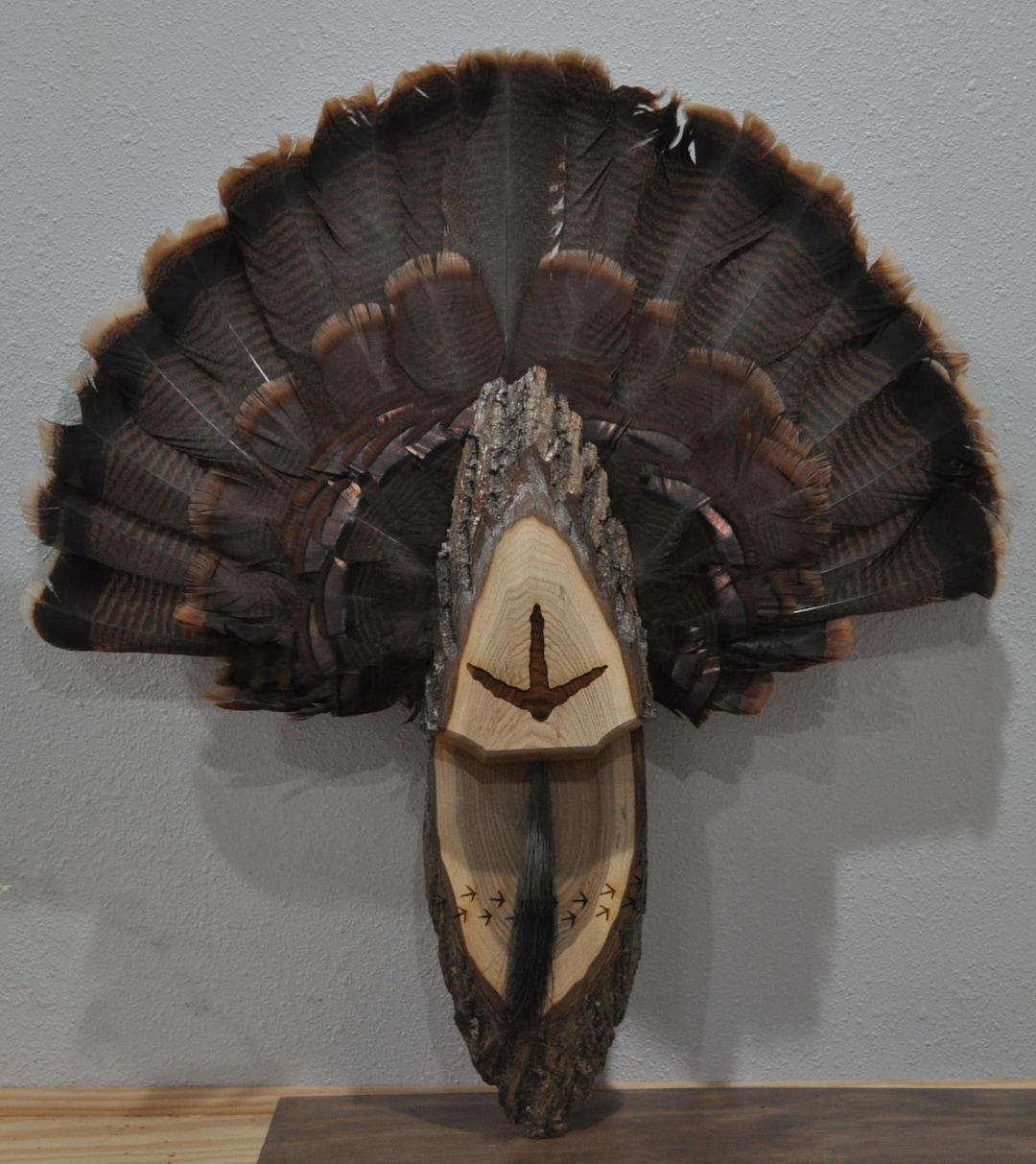 Turkey Fan Display, Hunting for Turkeys, Tail and Fan Mount, Turkey ...