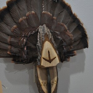 Turkey Fan Display, Hunting for Turkeys, Tail and Fan Mount, Turkey ...