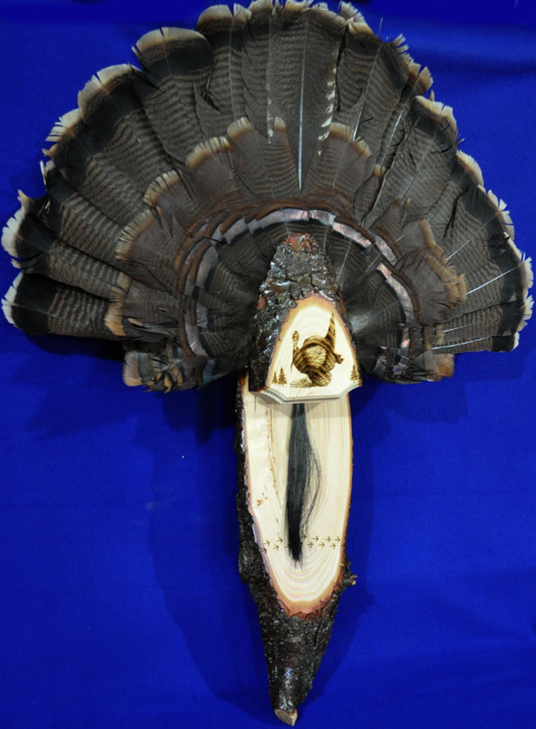 Turkey Fan Mount ~ Turkey Hunting ~ Turkey Fan ~ Turkey Hunting Gift ...