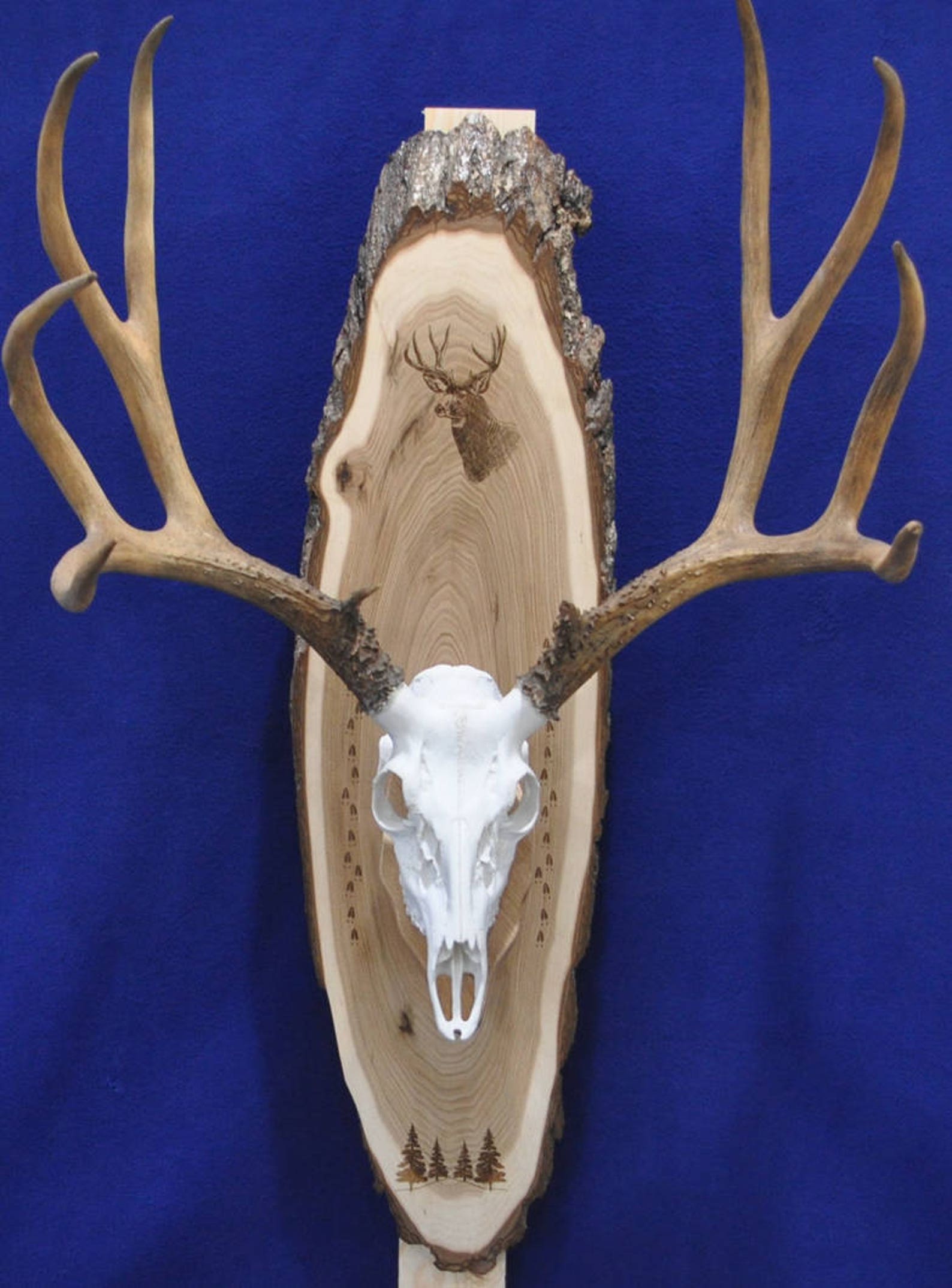 Mule Deer Hunting Mount Hunting Gift Deer Hunting Deer | Etsy