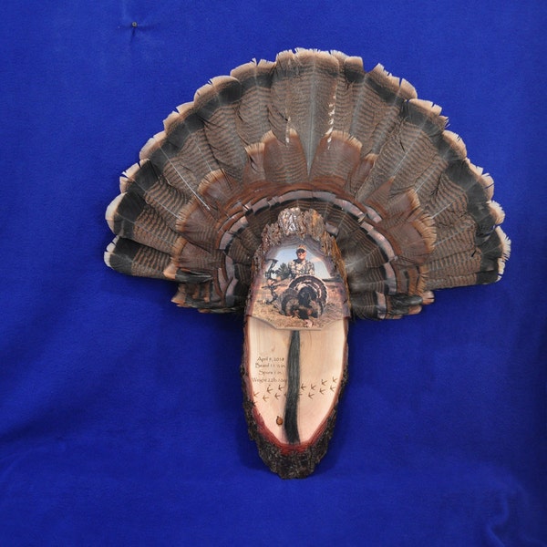 Turkey Fan Mount - Etsy