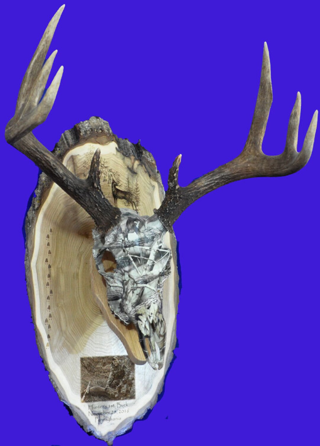 Hunting Gift ~ European Mount ~ Engraved Photo ~ Deer Hunting ~ Deer ...