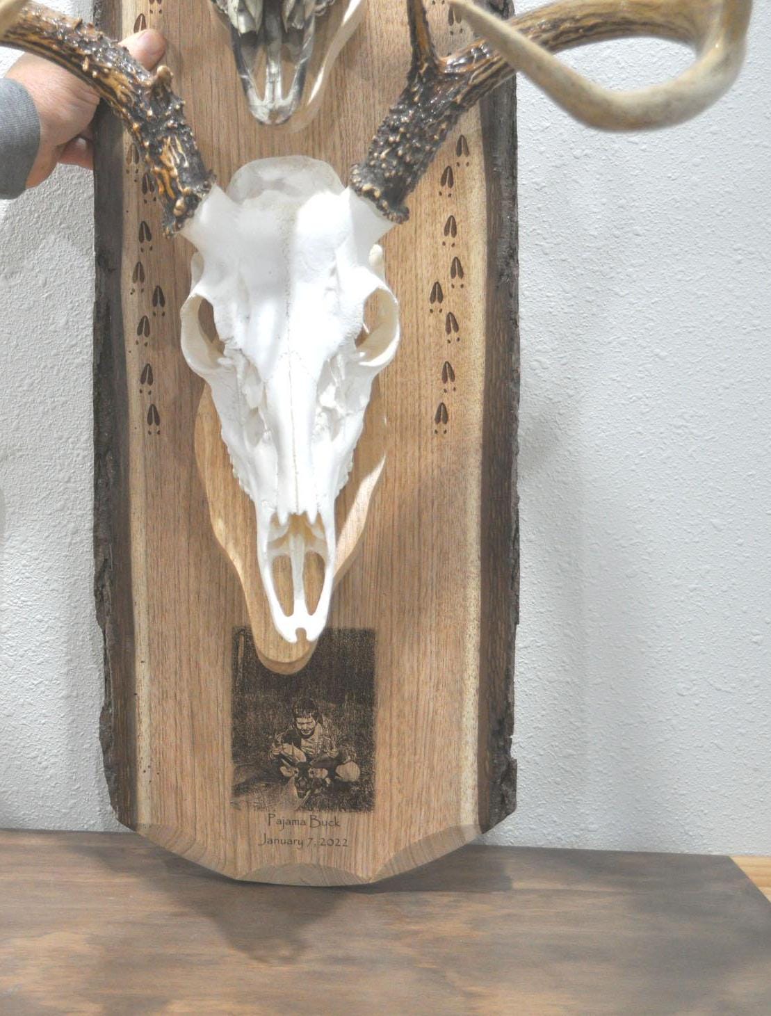 European Skull Mounting Kit, Double Skull Mount for Deer, Two Photos ...