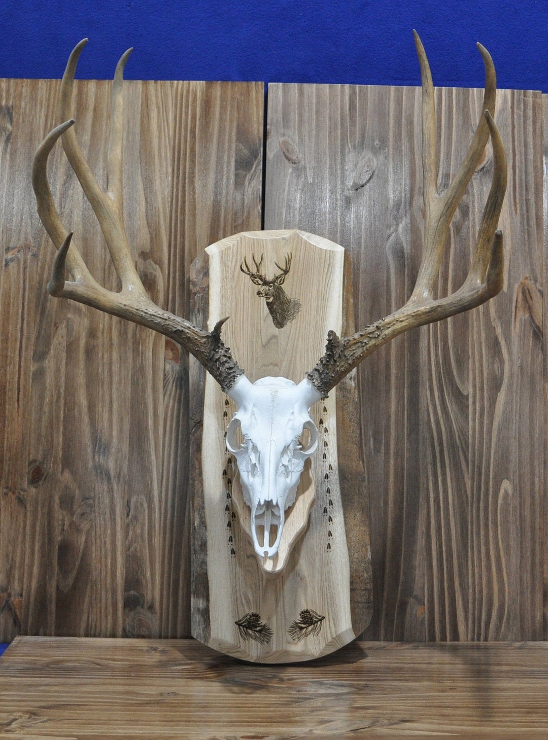 Deer Hunting European Mount Plaque Hunting Deer Skull Mount Mule Deer ...