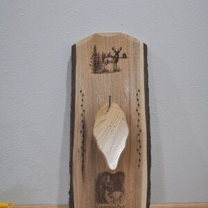 European Mount Boards, Engraved Hunting Photo, Deer Hunting, Deer Skull ...