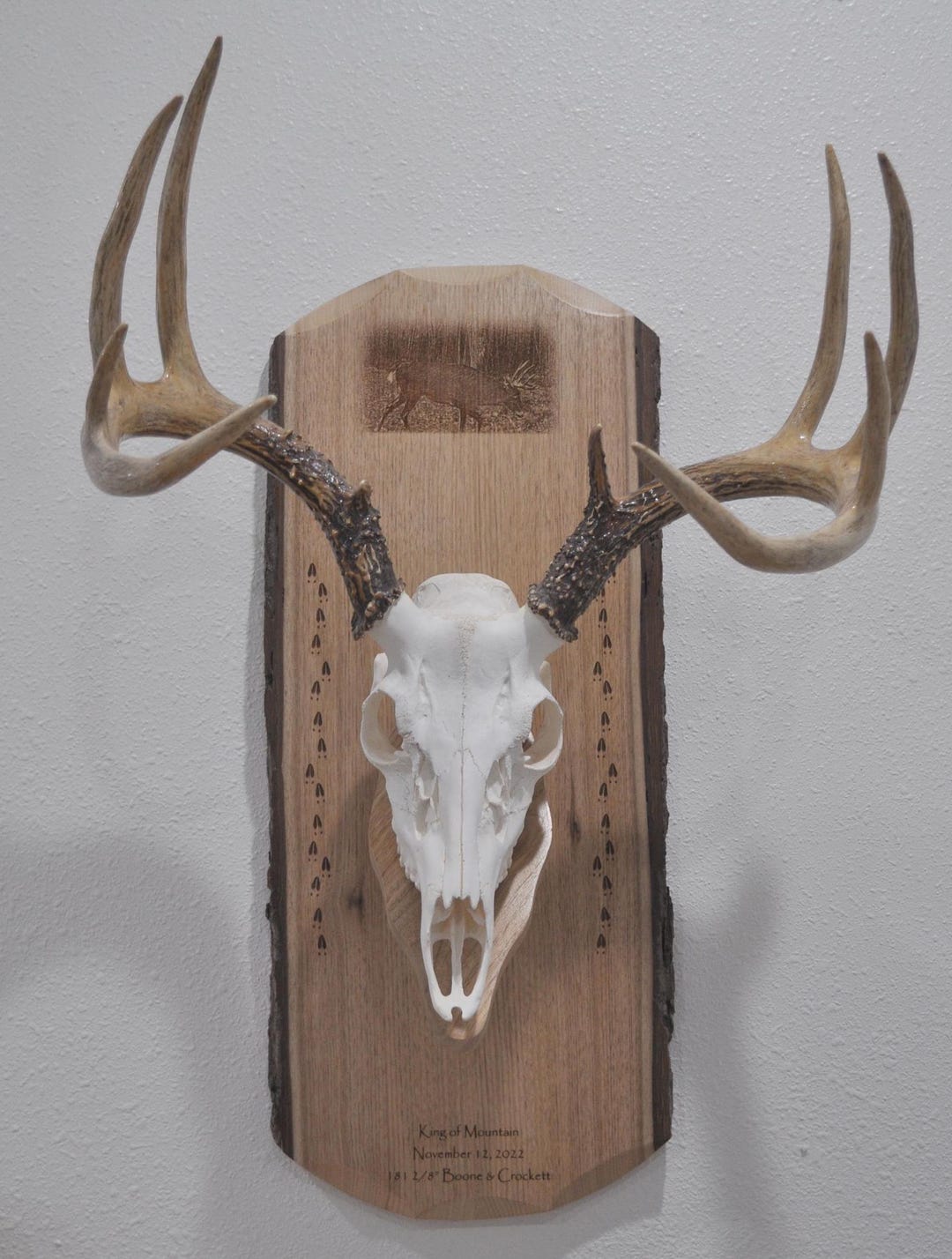 European Skull Mount Kit, Hunting Photo Engraved, Deer Skull Mount ...