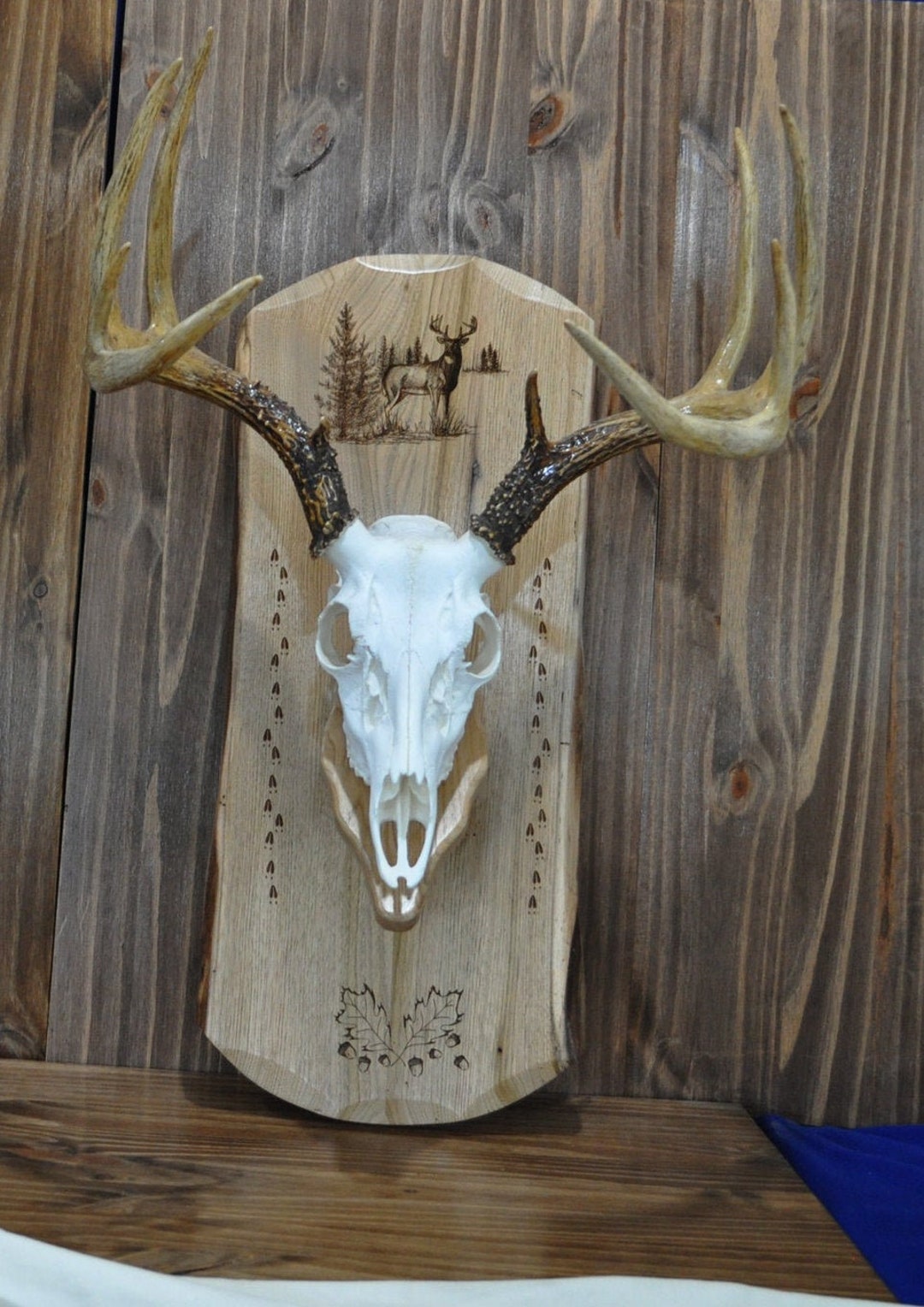 Deer Mount Boards ~ Deer Hunting ~ European Mount Plaque ~ Hunting ...