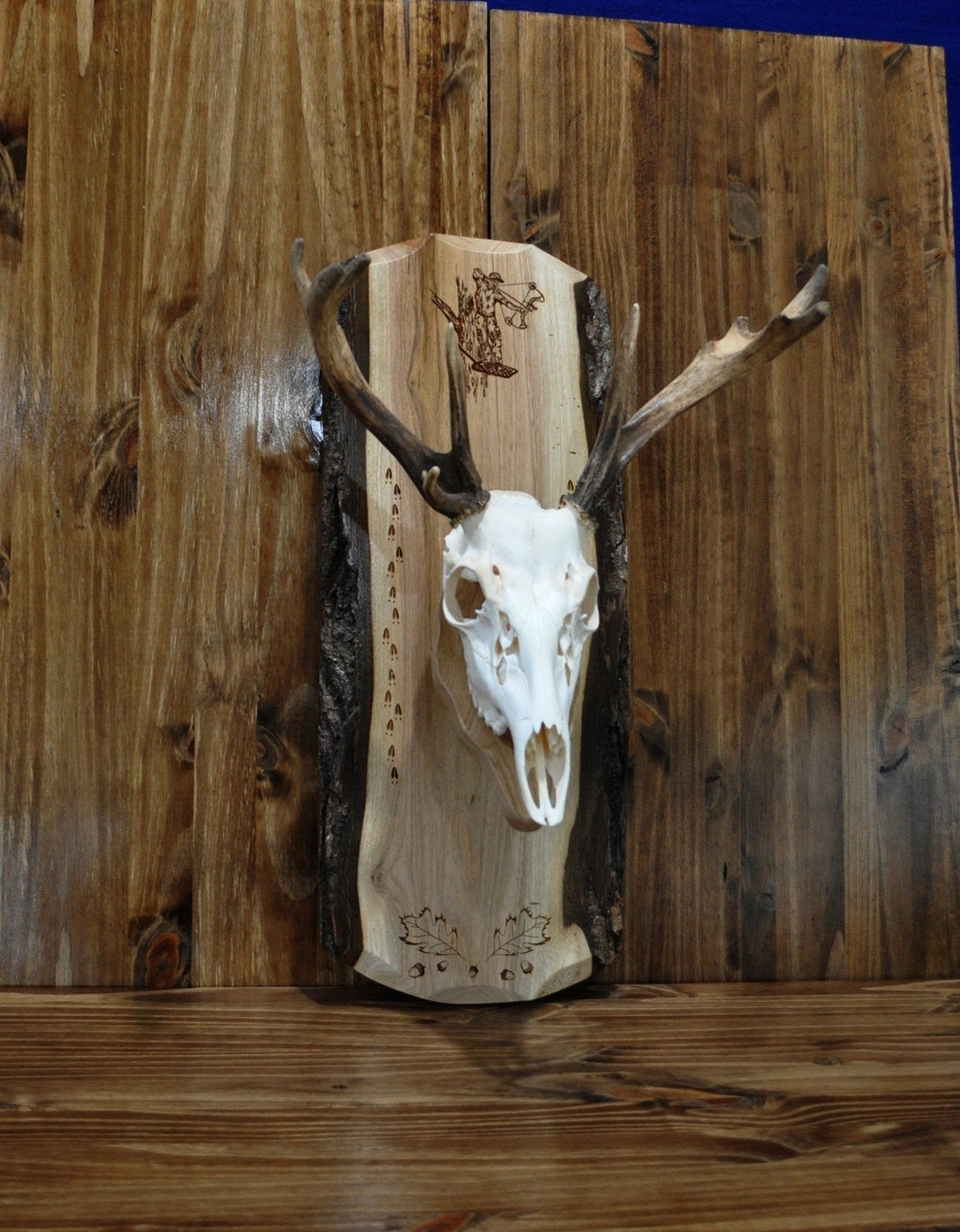 Bow Hunting, Deer Hunting, European Mount. Hunting, Deer Skull Mount ...