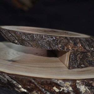 Hunting. Grouse Hunting. Grouse Fan Display. Grouse Fan Mount. Grouse ...