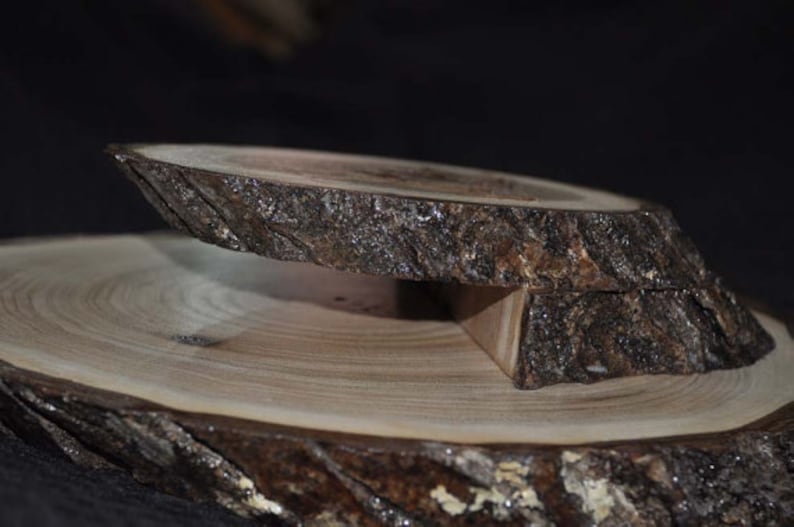 Hunting. Grouse Hunting. Grouse Fan Display. Grouse Fan Mount. Grouse ...