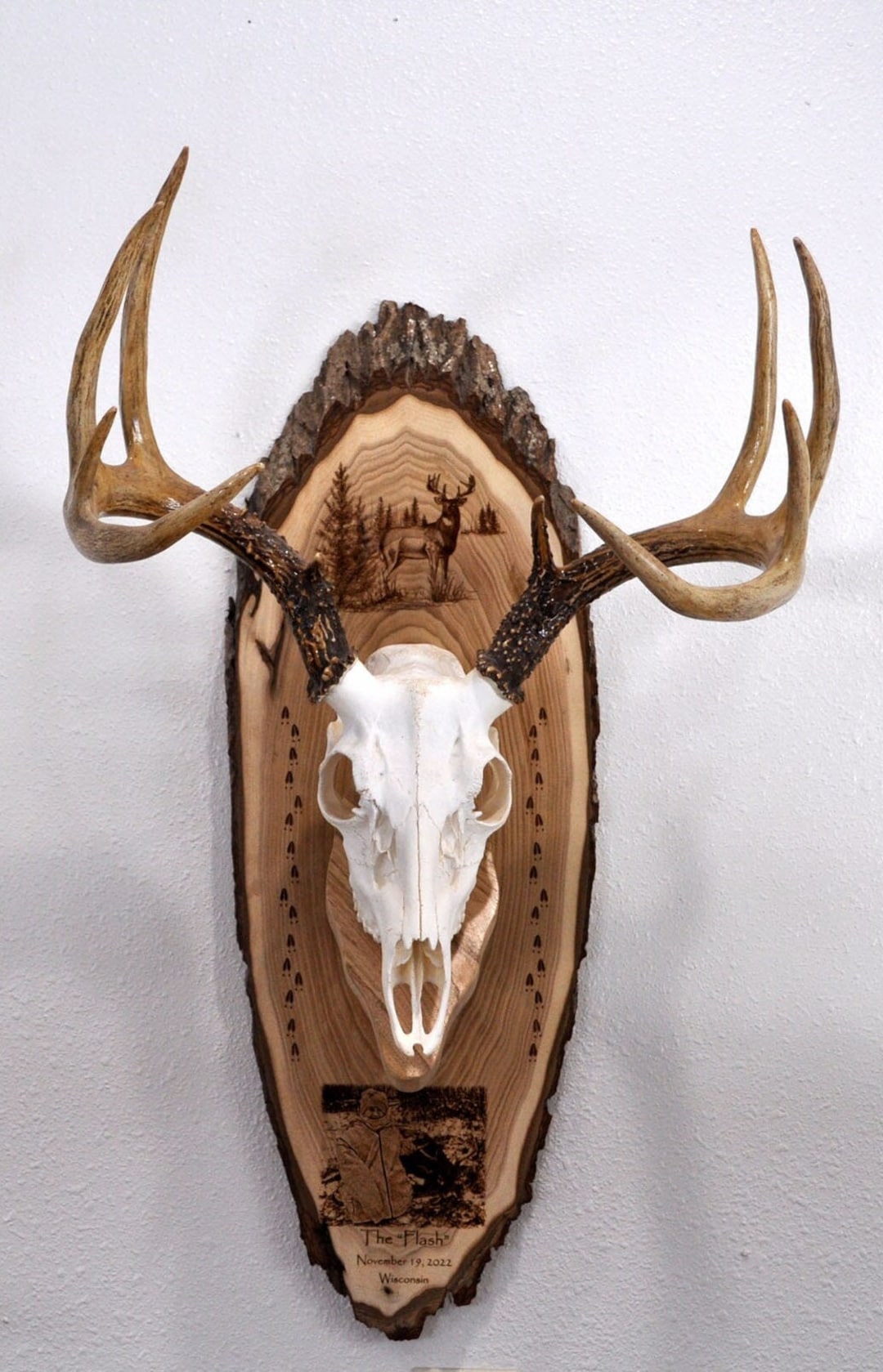 European Mount, Photo Engraved Hunting Plaque, Deer Skull Mount ...