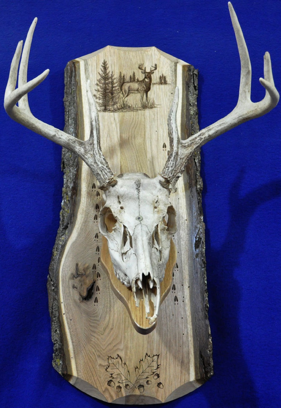 Deer Hunting European Mount Plaque Hunting Deer Skull Mount Gift for ...