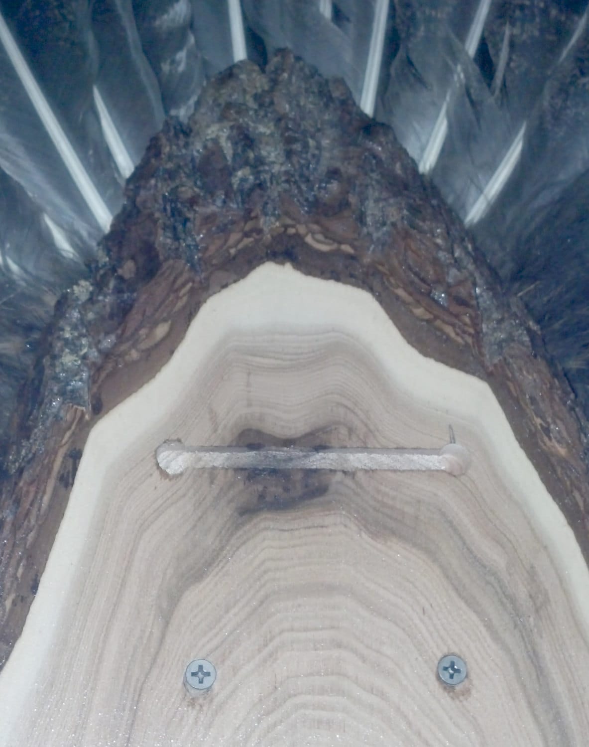 Hunting .grouse Fan. Grouse Hunting. Grouse Fan Mount. Grouse Tail ...