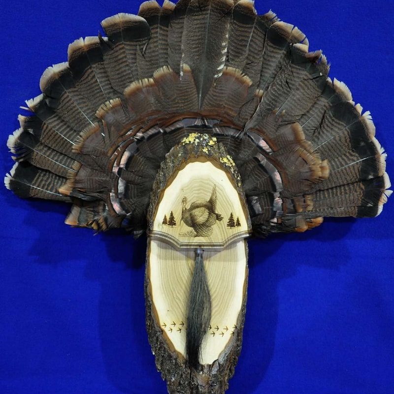Turkey Fan Mount - Etsy