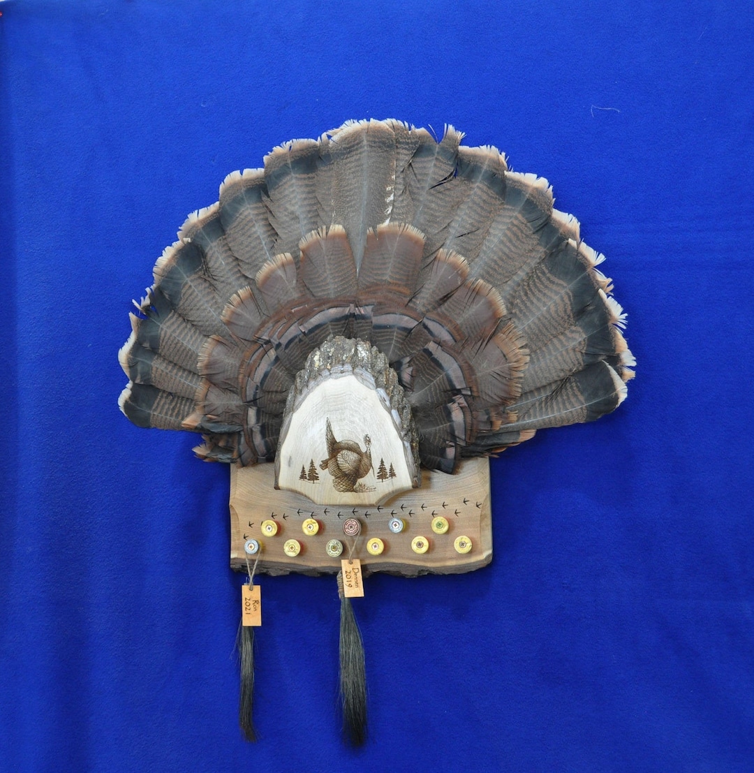 Turkey Fan and Beard Display, Turkey Hunting, Turkey Fan Mount, Turkey ...