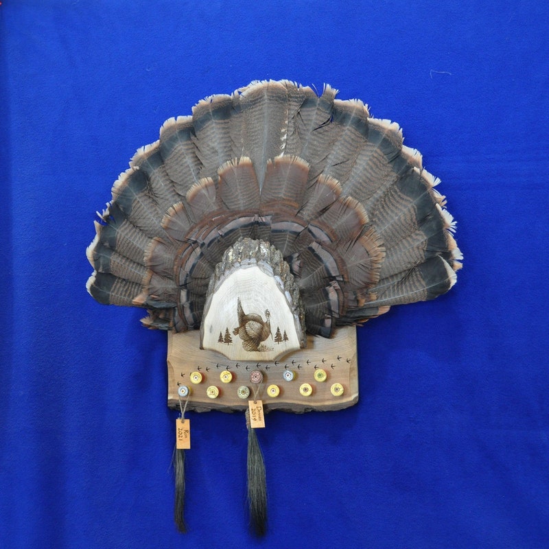 Turkey Fan Mount - Etsy