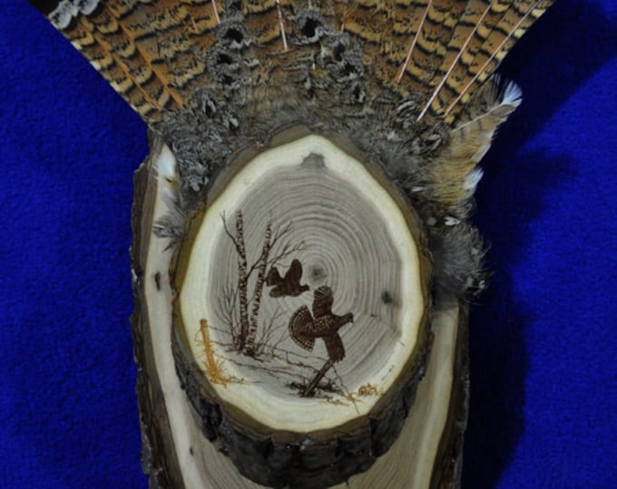 Hunting. Grouse Hunting. Grouse Fan Display. Grouse Fan Mount. Grouse ...