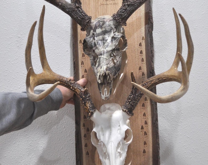 European Skull Mounting Kit, Double Skull Mount for Deer, Two Photos ...