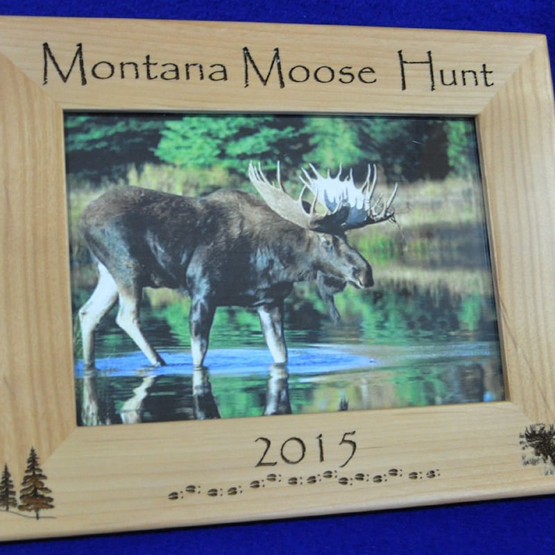 Moose Picture Framed - Etsy