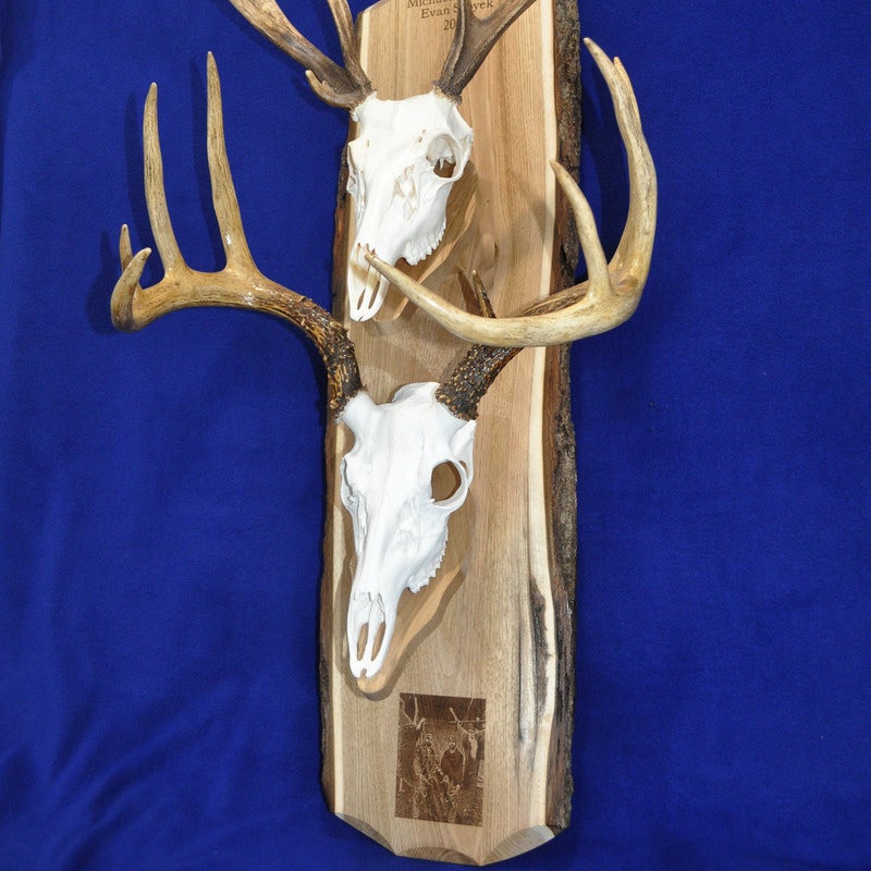 European Mount Plaque - Etsy