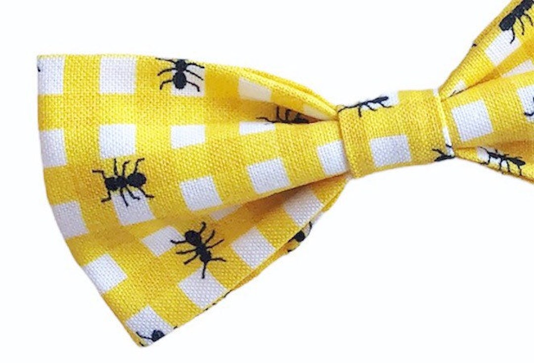 Bug Bow Ties, Bug Themes, Picnic Theme, Adjustable Bow Tie, Boys Bow ...